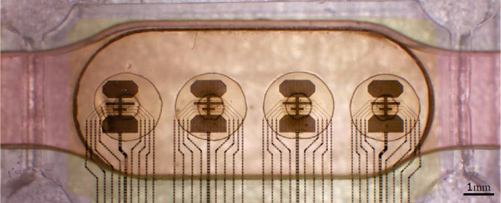 Swiss Start-Up FinalSpark Launches Energy-Efficient Biocomputer Powered ...